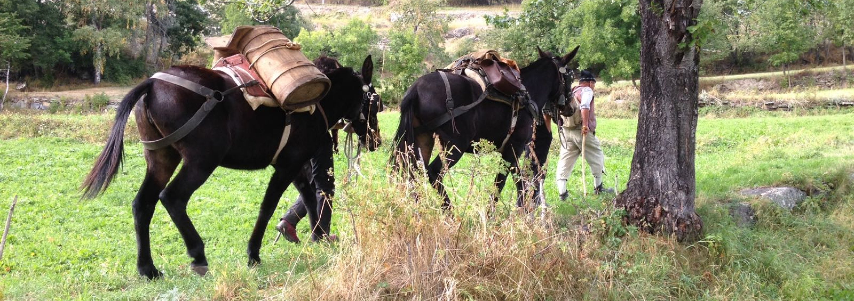 Erlebnis Vergangenheit | Urchigs Terbil