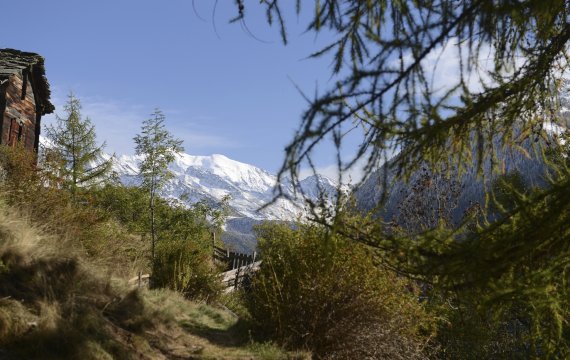 GV Verein Urchigs Terbil | Urchigs Terbil